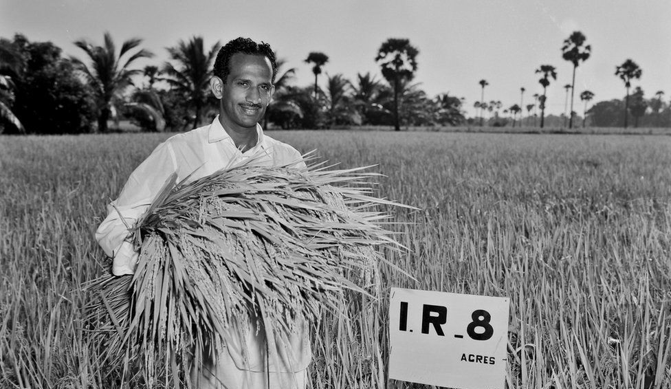 India’s Cup of Rice Runneth Over