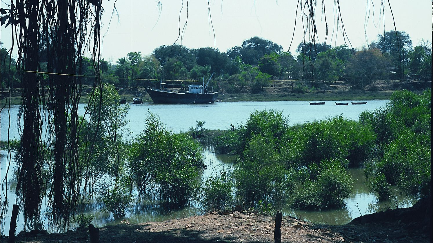 Sanjan: Digging Deep into History