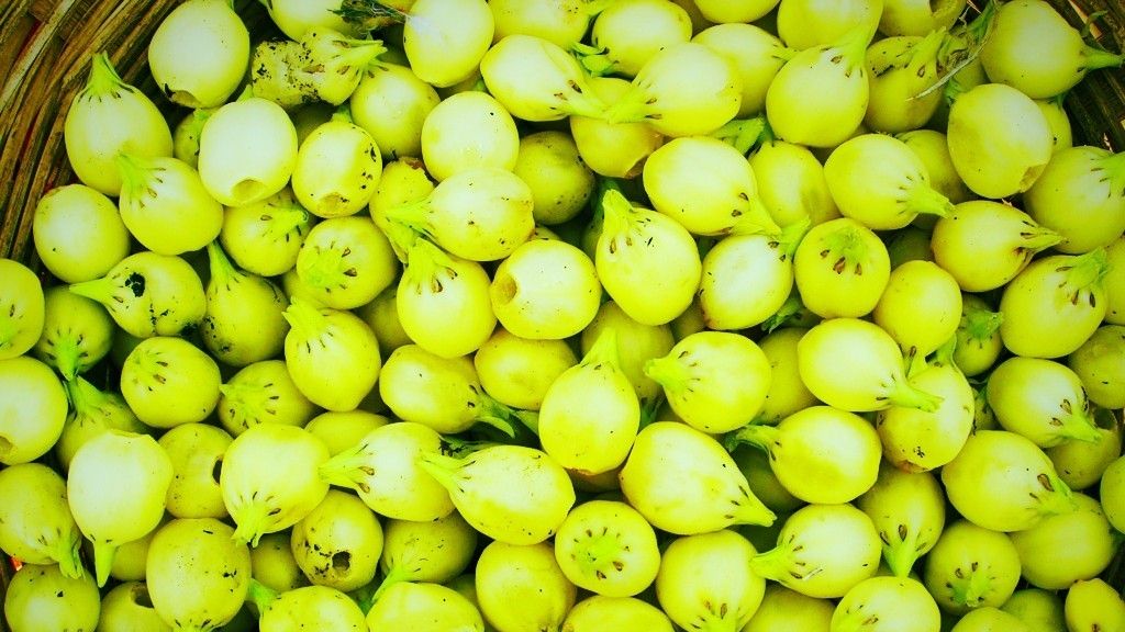 Mahua-India’s Earthy Brew