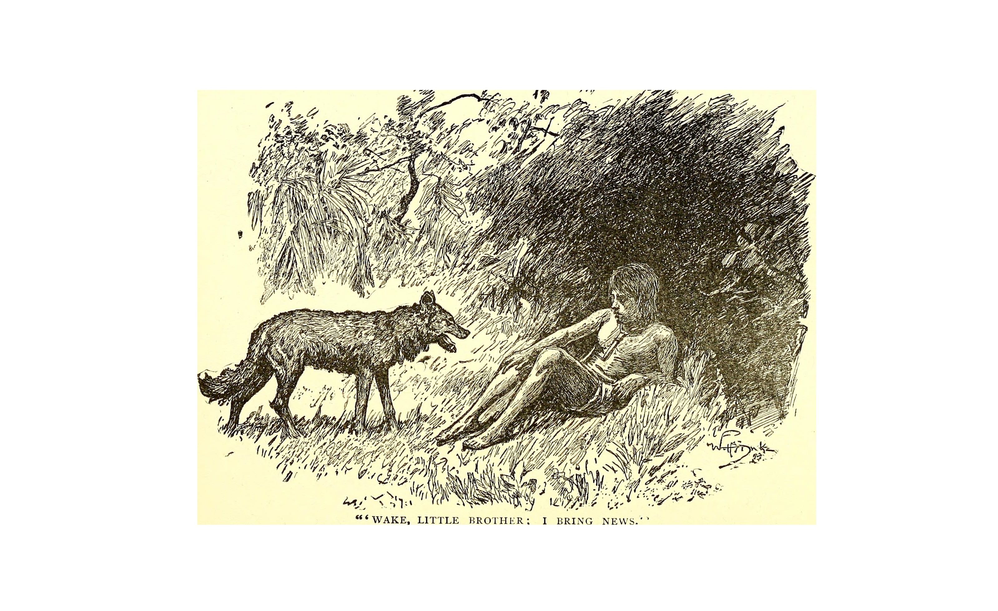 The Jungle Book: The Untold Story