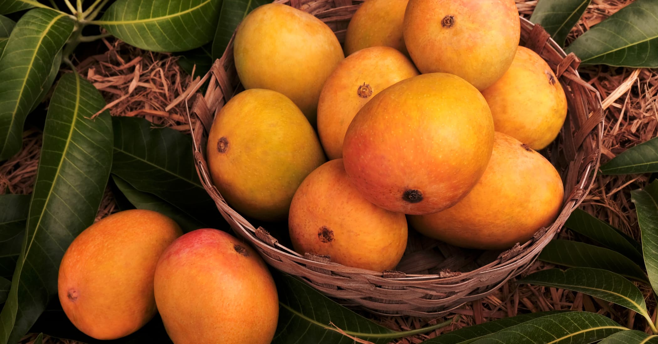 Mango - India’s Gift to the World!
