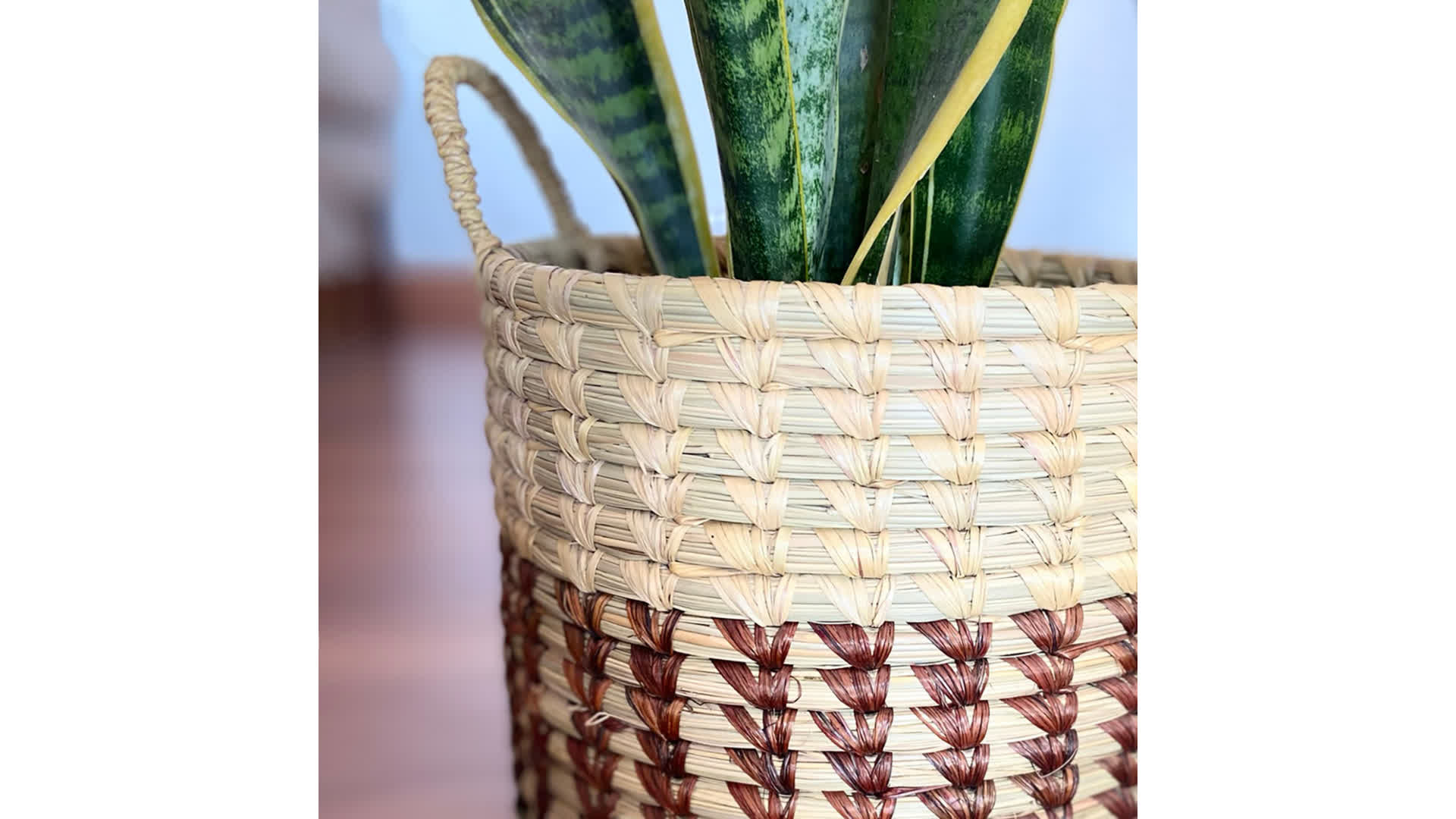 Moonj Grass Weaving: Wonders From The Wild