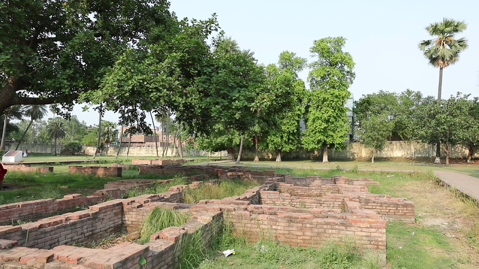 Pataliputra: Destroyed But Not Doomed