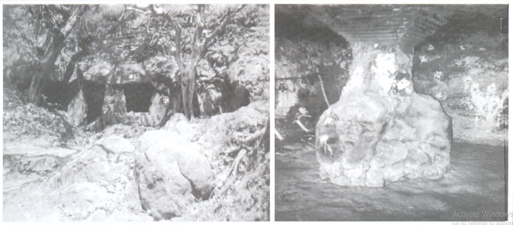Chaul: Maharashtra’s Medieval Port