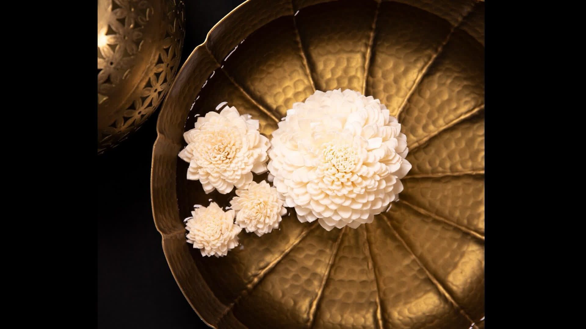 Sholapith: A Gift From Nature