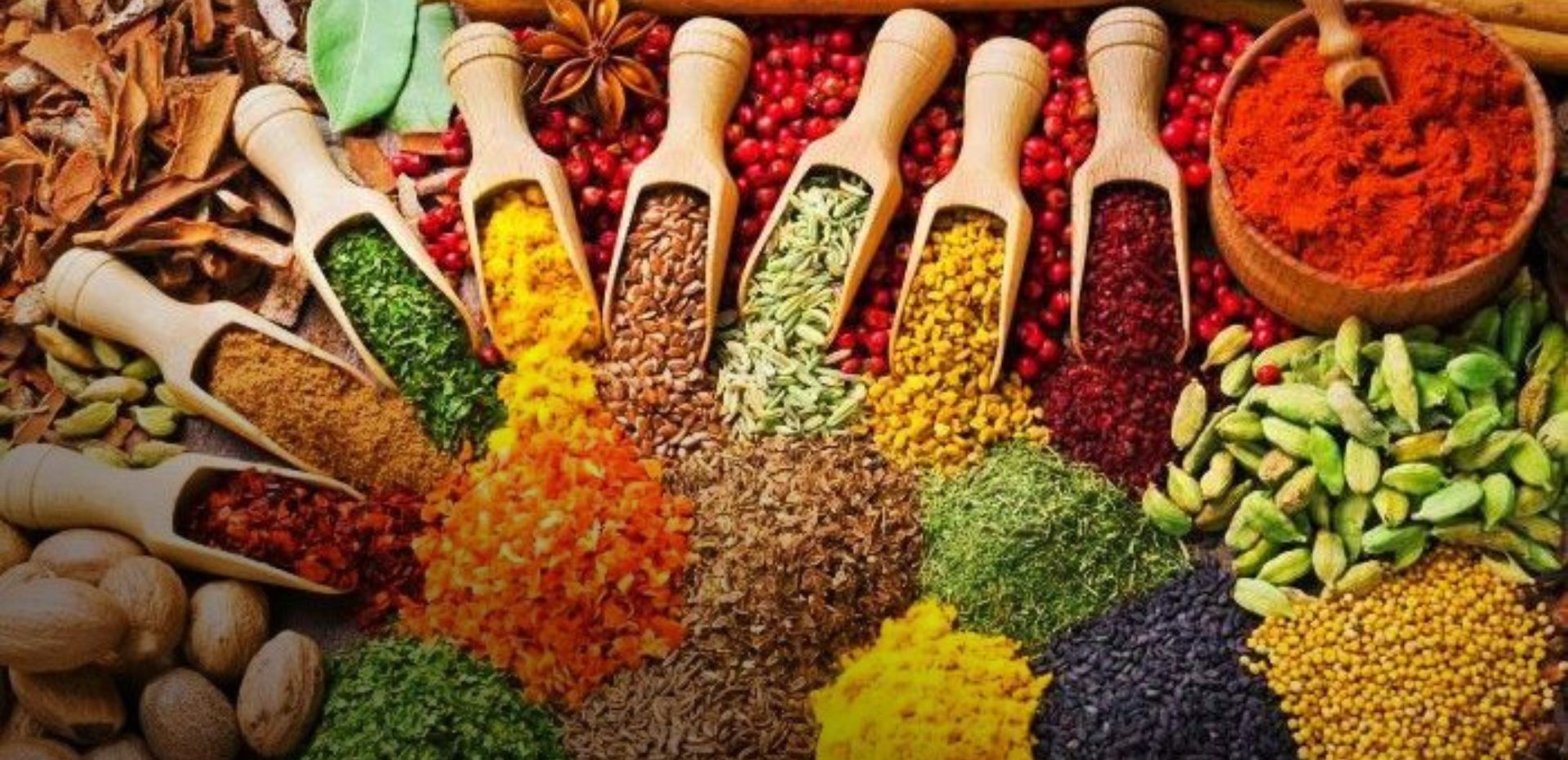 Uncovering India's Ancient Culinary History