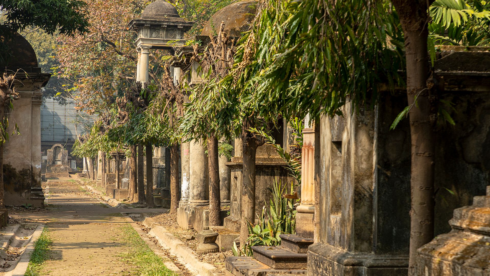 South Park Street Cemetery: The Dead Still Tell Tales