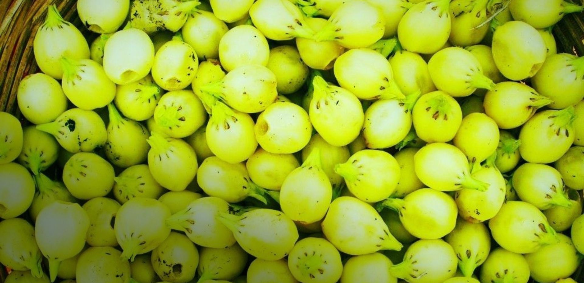 Mahua-India’s Earthy Brew