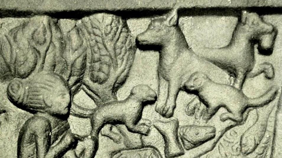 Dogs Through the Ages