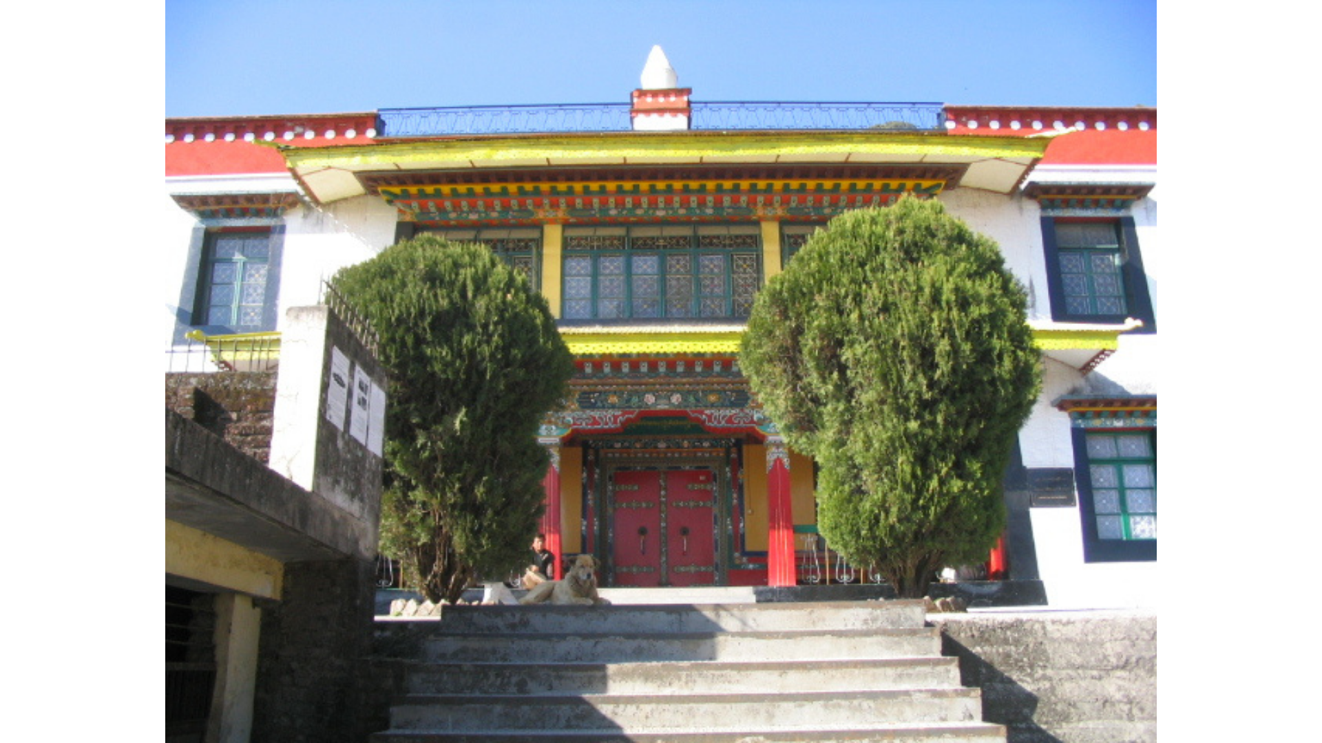 Library of Tibetan Works and Archives: Surviving Against All Odds