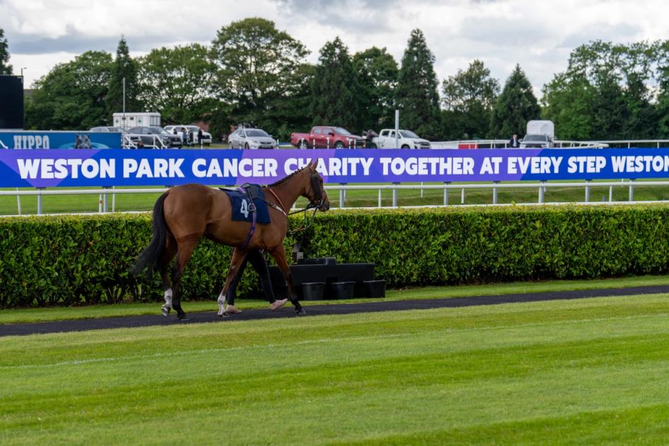 Weston Park Cancer Charity Race Evening 2026 | Weston Park Cancer Charity