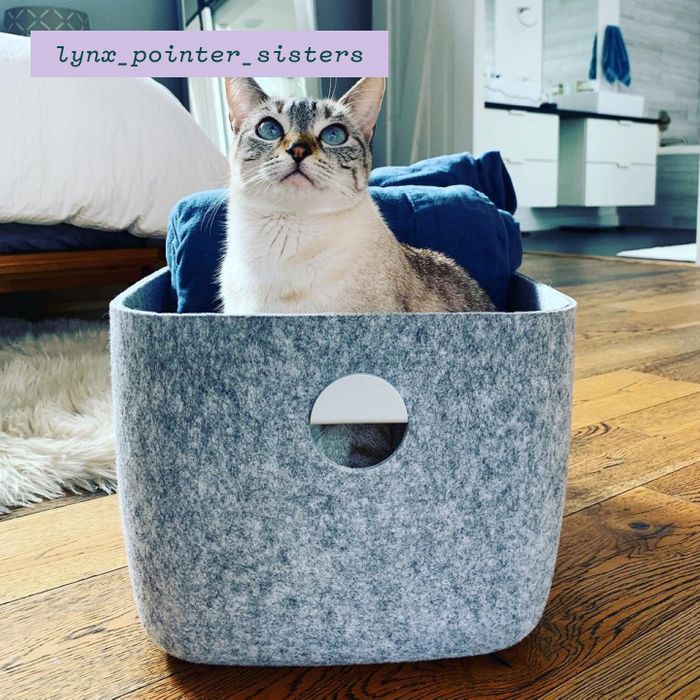 Enjoy Daily Life | Pattern Brands