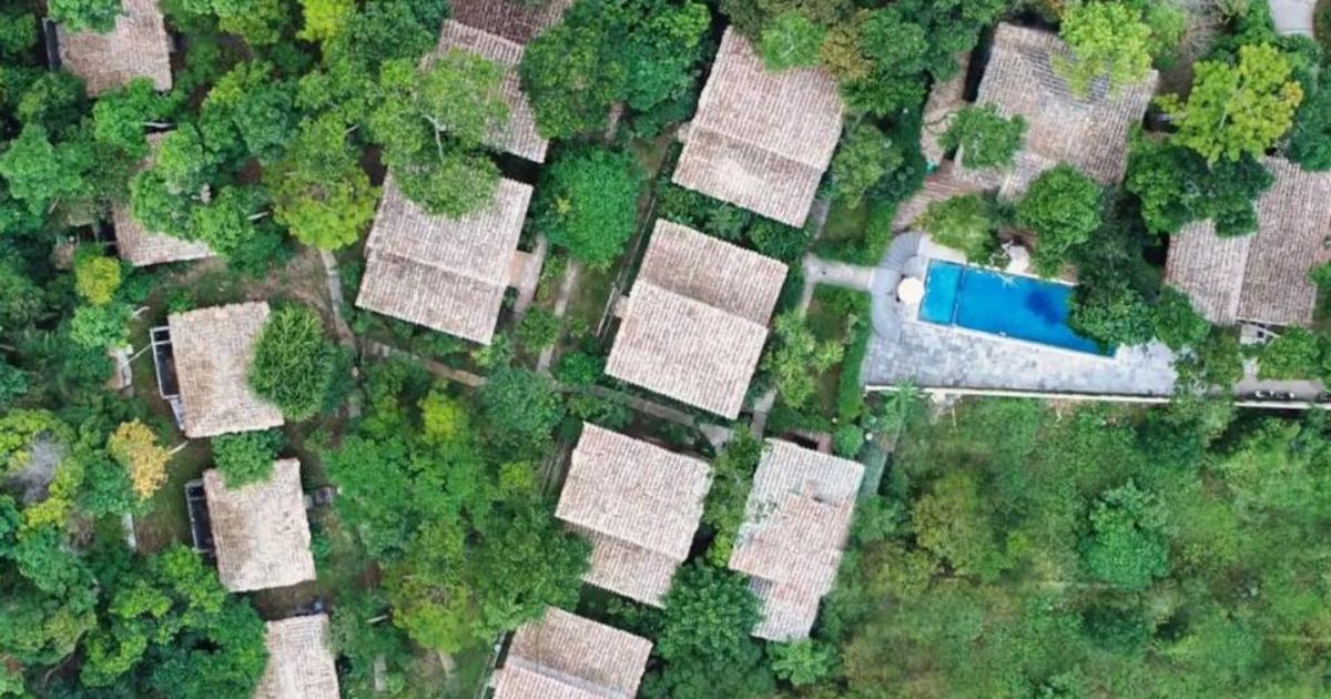 Crafting Tranquil Luxury at De Foret Resort | The Story, Location, and ...