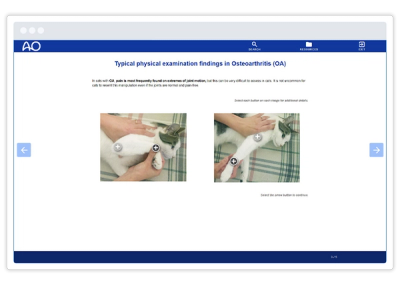 AO North America and AO Milestones case study | Gomo Learning | Gomo ...