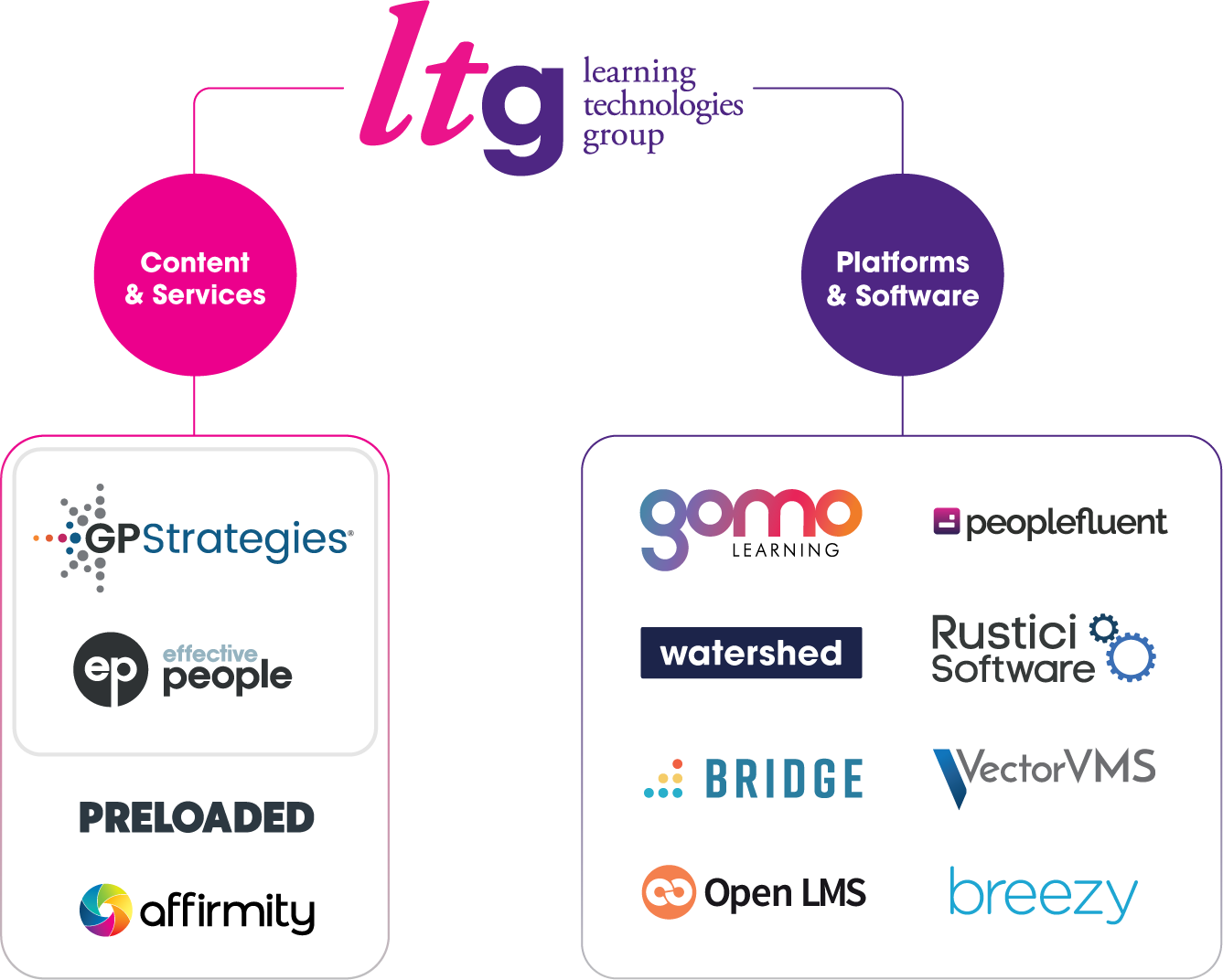 About Gomo | Our history and meet the team | Gomo Learning