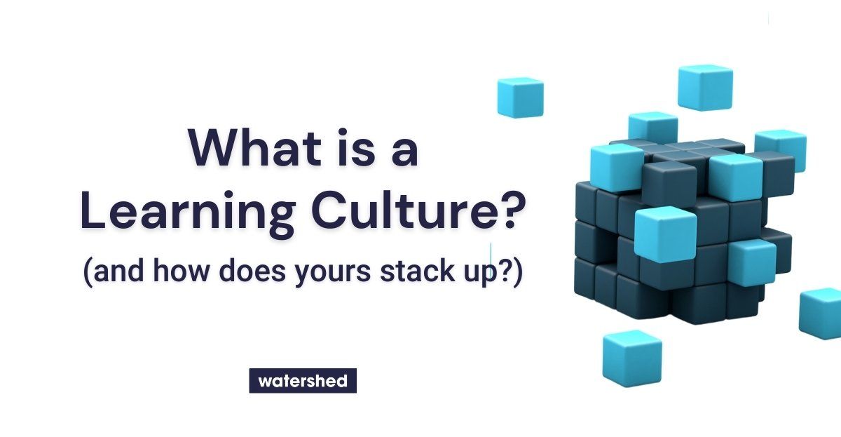 What's a Learning Culture—and How Does Yours Measure Up?