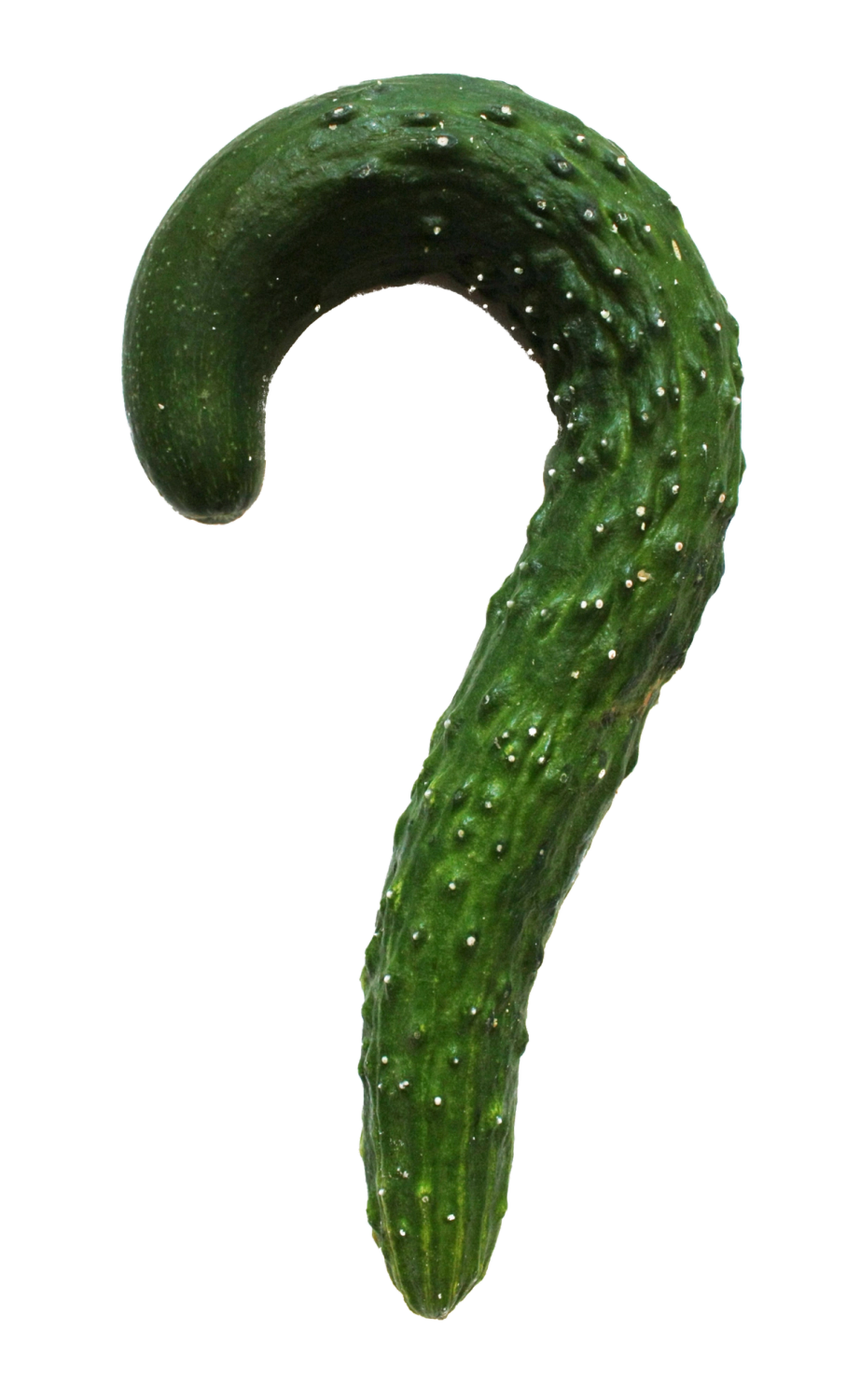 Reduce Buffet Food Waste & Recover Costs