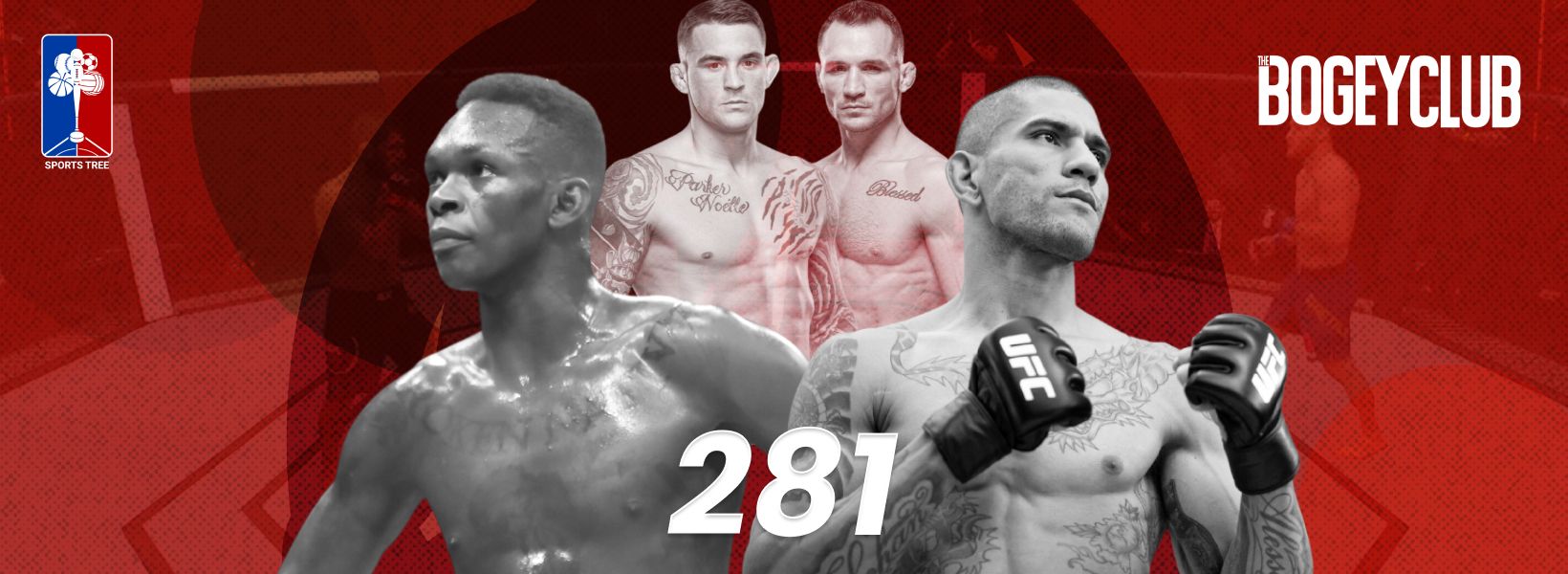 UFC 281
