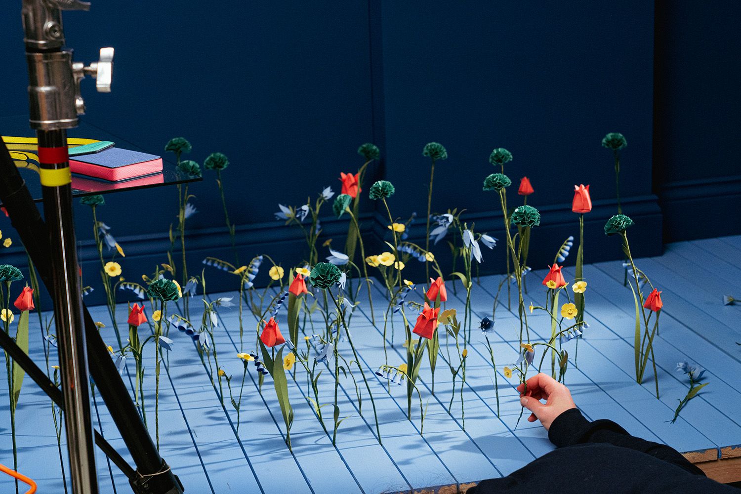 Katy Beveridge | Artist | Jelly UK