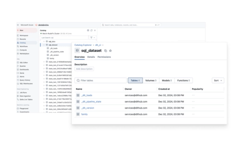 dlt and Databricks