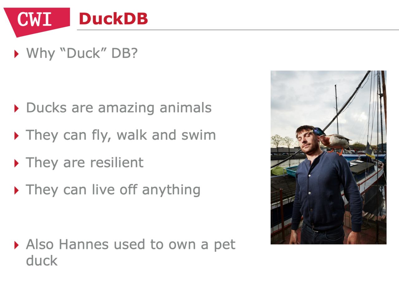 Is DuckDB a database for ducks?