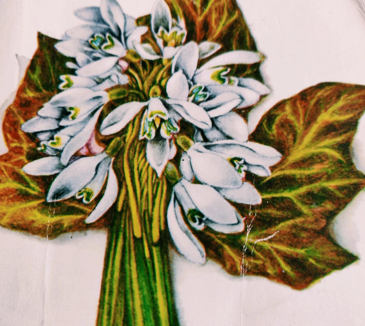 Emily Davis by Miss Read | Coffee, Books and Cake