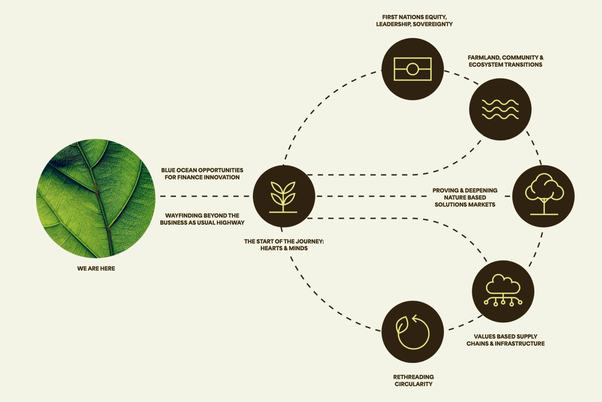 A Roadmap for Regenerating Investment in Food and Farming | Sustainable ...