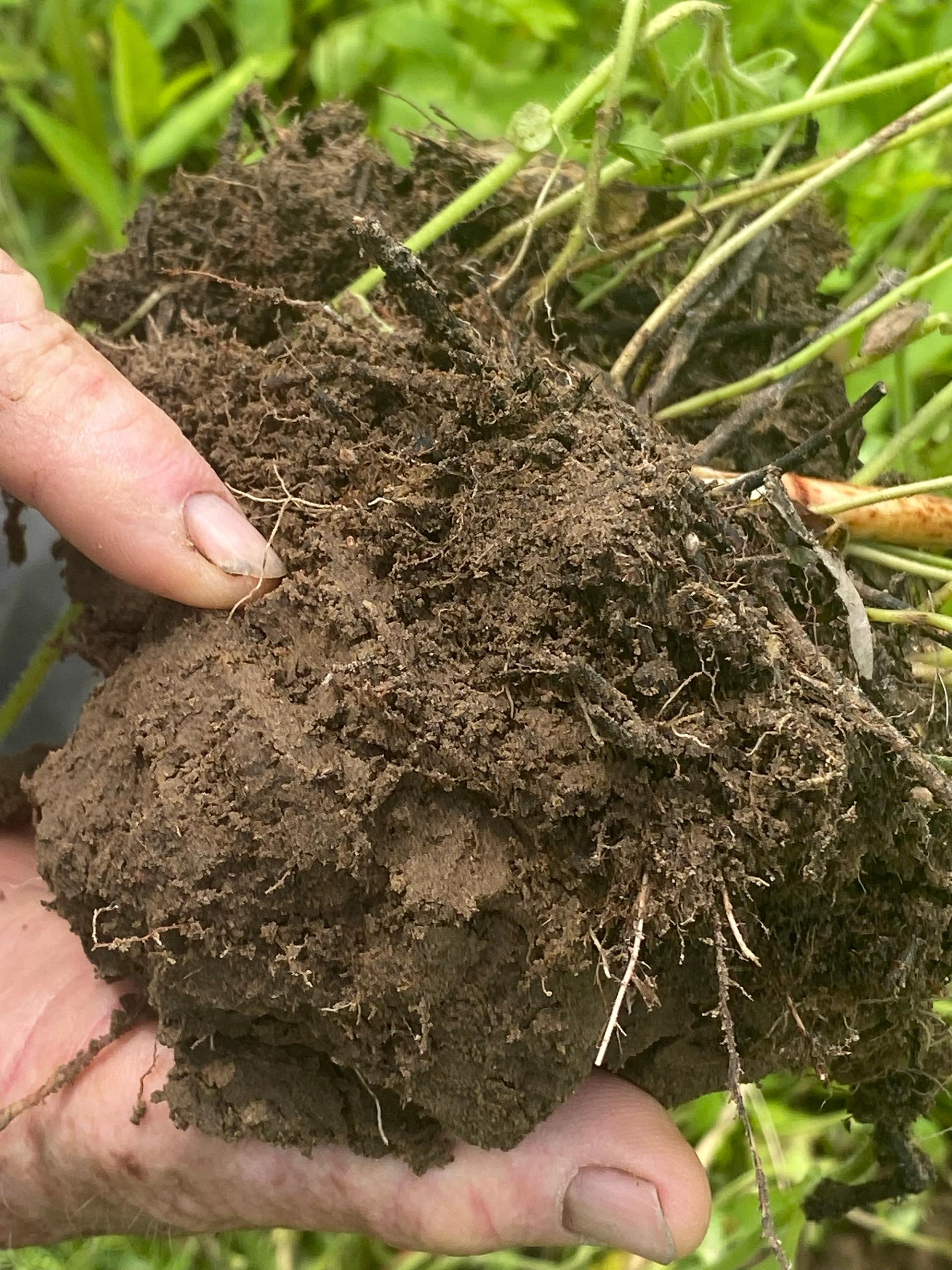 Farmer Feature - John Gargan | Sustainable Table