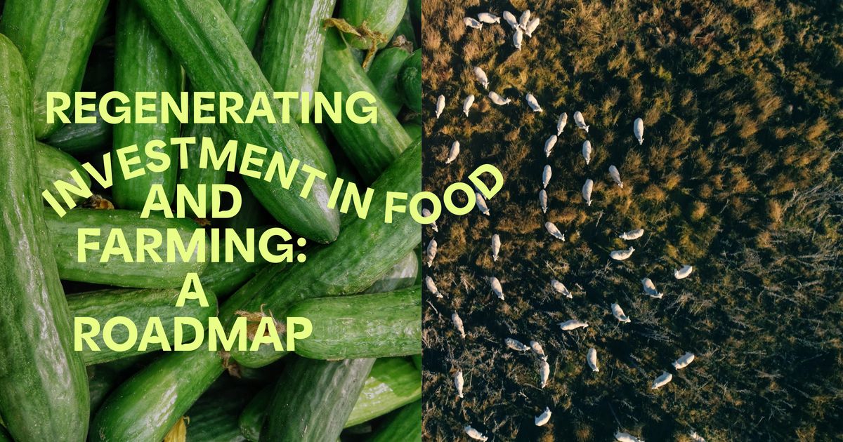 Regenerating Investment in Food and Farming | Sustainable Table