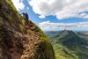 Hikers on a narrow uphill trail surrounded by lush scenery.