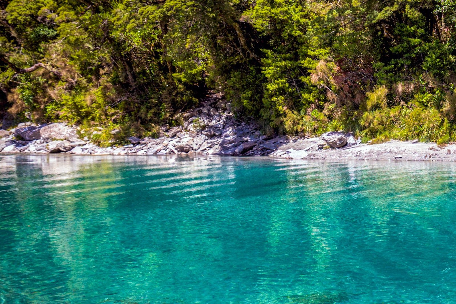 Ilha dos Gatos em Maresias