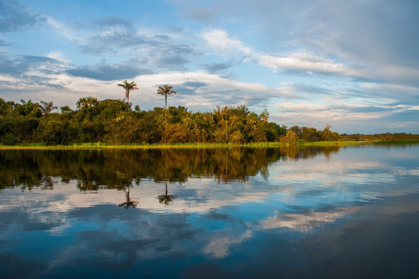 O Carnaval na região Norte é especial e garante muita diversão para o folião