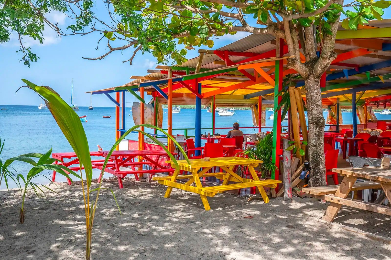 Best Local Restaurants in Martinique