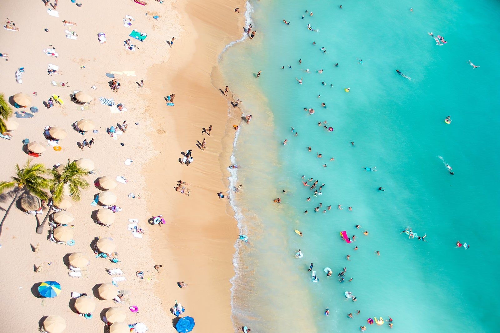 新型コロナウイルスに関する渡航要件の最新情報 – ハワイ