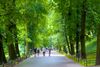 People walk down a path in a green lush park.