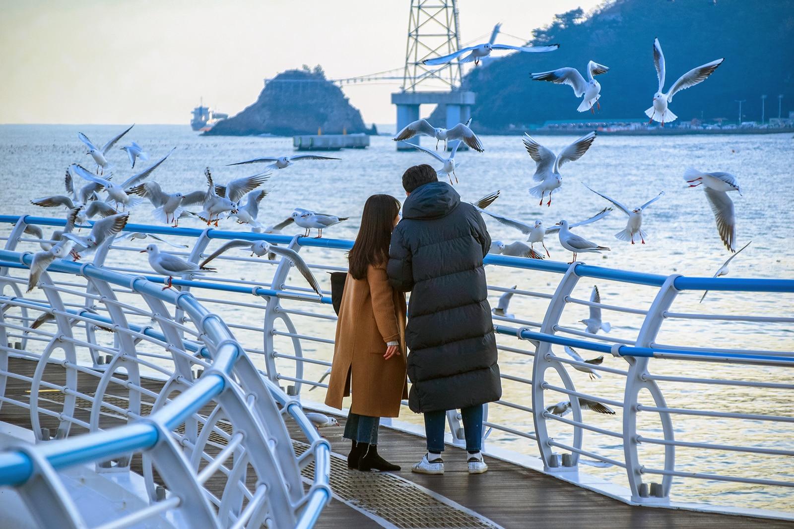 Best Things to Do for Couples in Busan