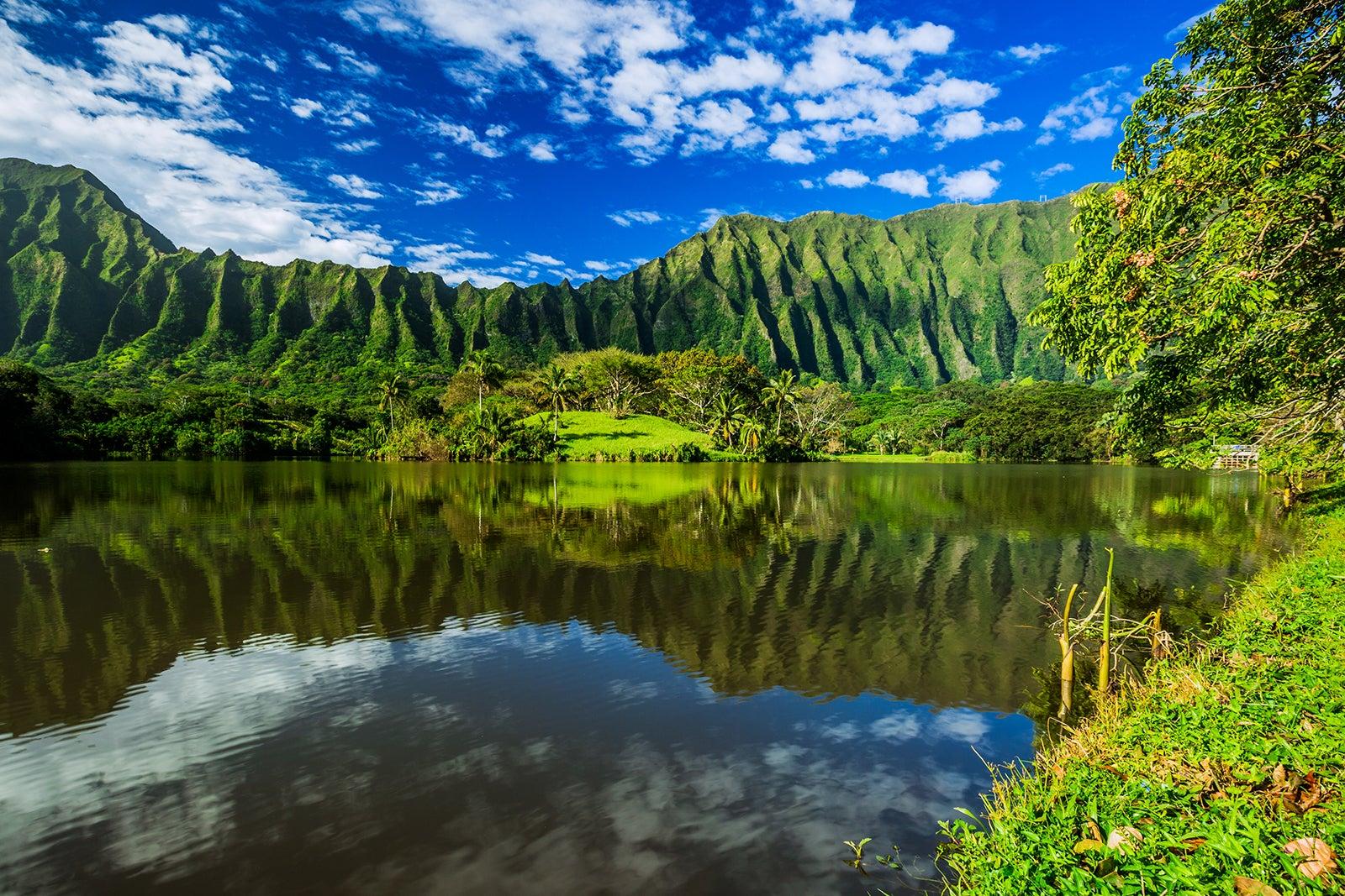 Ho'omaluhia Botanical Garden