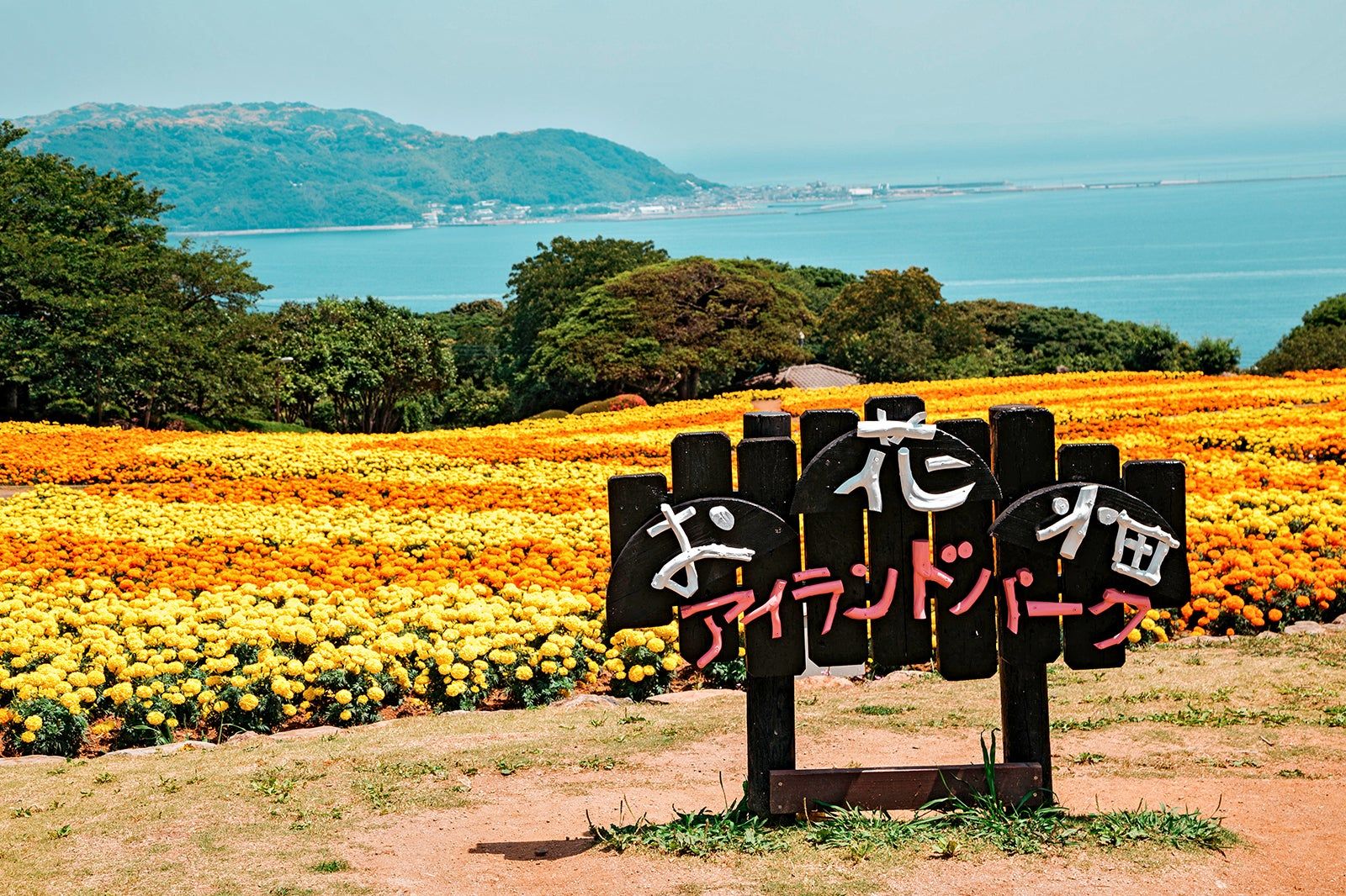 Top date spots for couples in Fukuoka