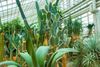 Botanical Garden (Botanisk Have) in Aarhus
