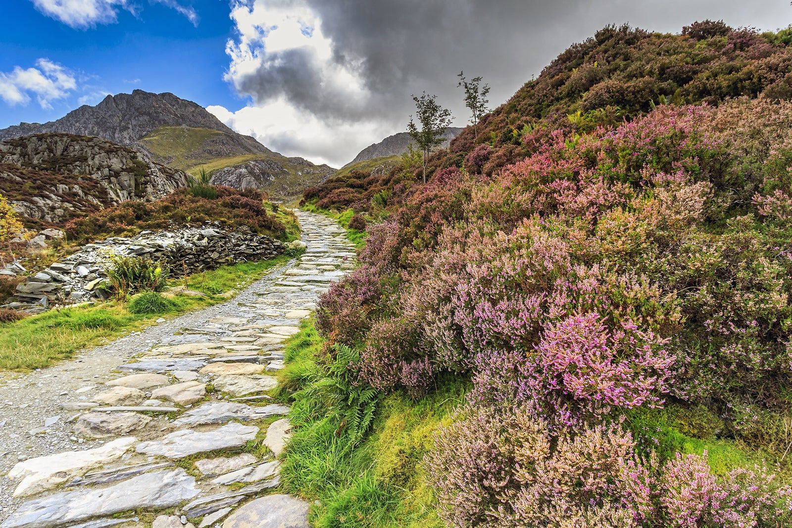 Best Hiking Trails in Snowdonia National Park
