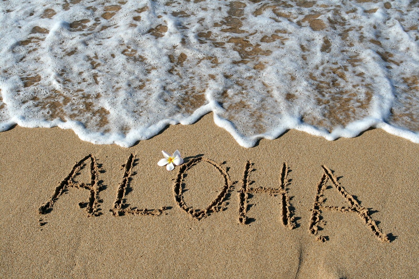 #行こうリアル旅ガイド ハワイ - 旅のヒント編