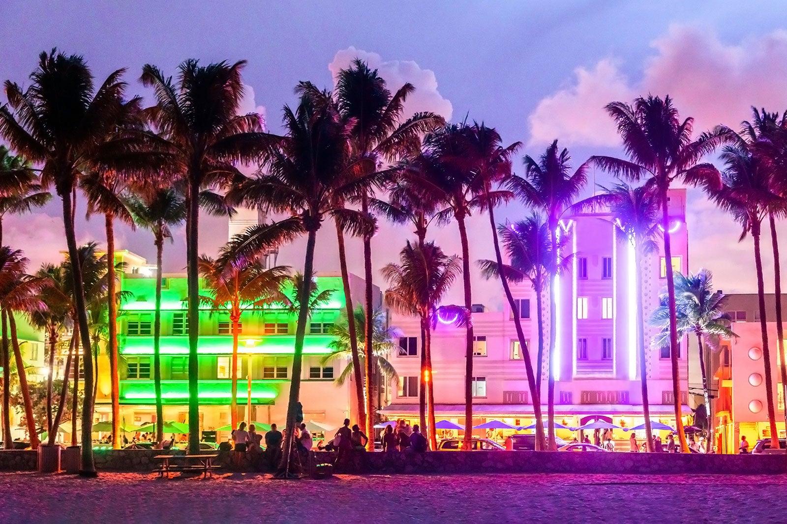 Palm trees and neon lit buildings.