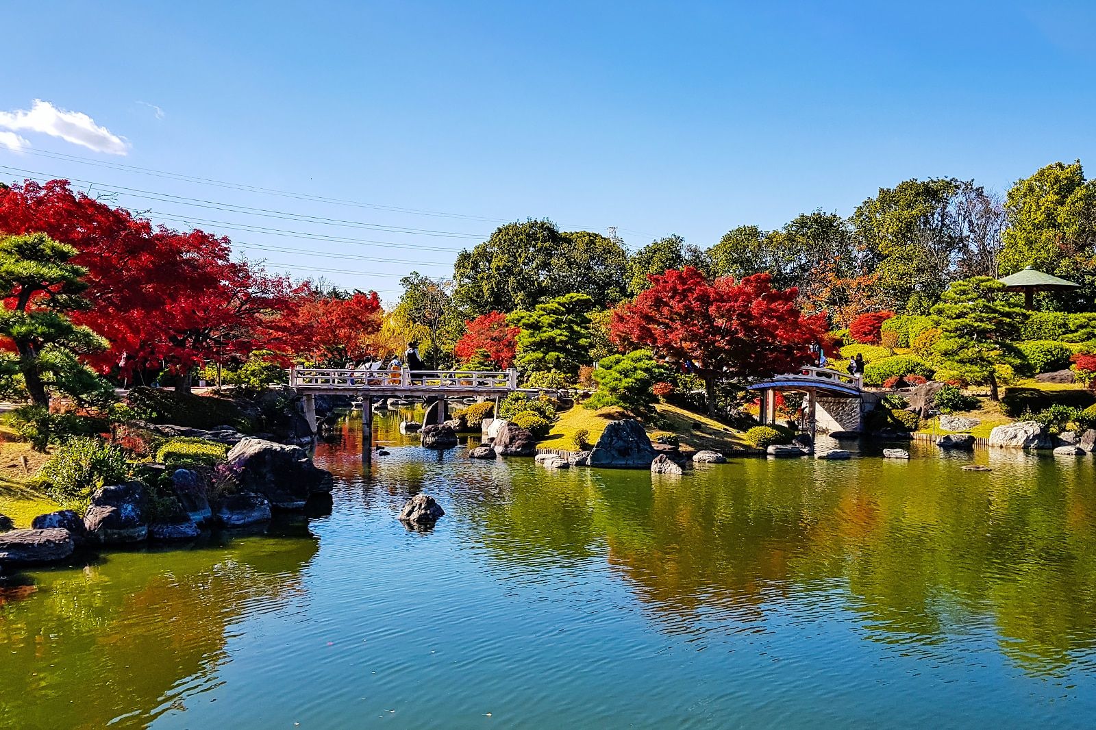 Top Popular Parks in Osaka