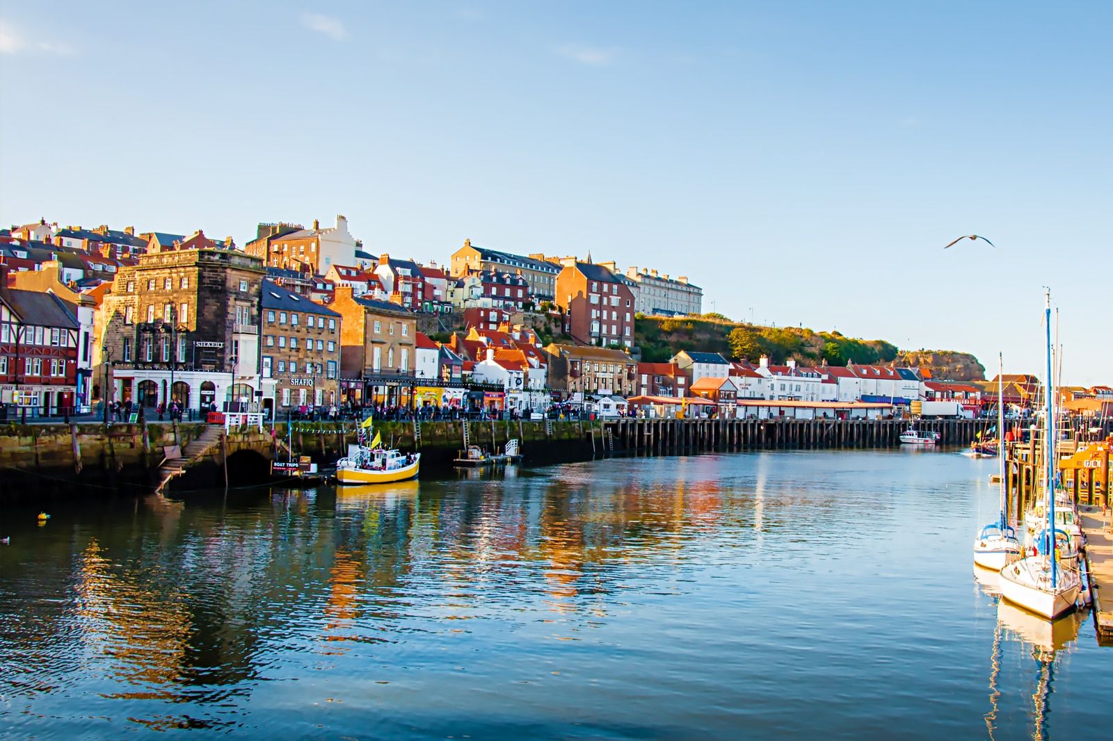 Best Places Where Locals Love to Eat in Whitby