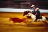 Houston Livestock Show and Rodeo.