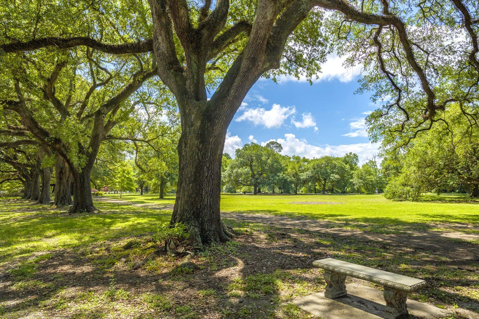 Audubon Park New Orleans