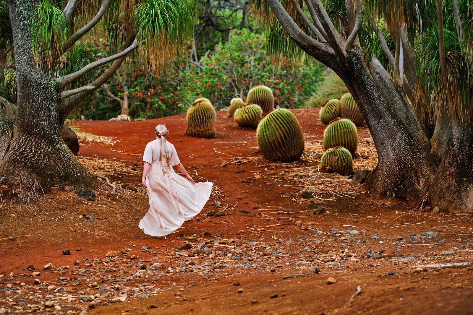Things to Do Off the Beaten Path in Honolulu