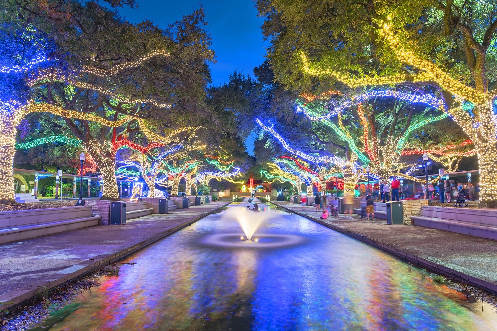 Best Things to Do After Dinner in Houston