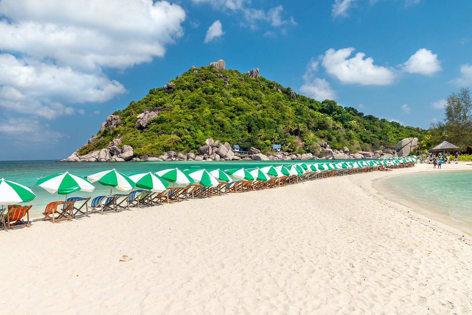 Best Things to Do in Koh Tao
