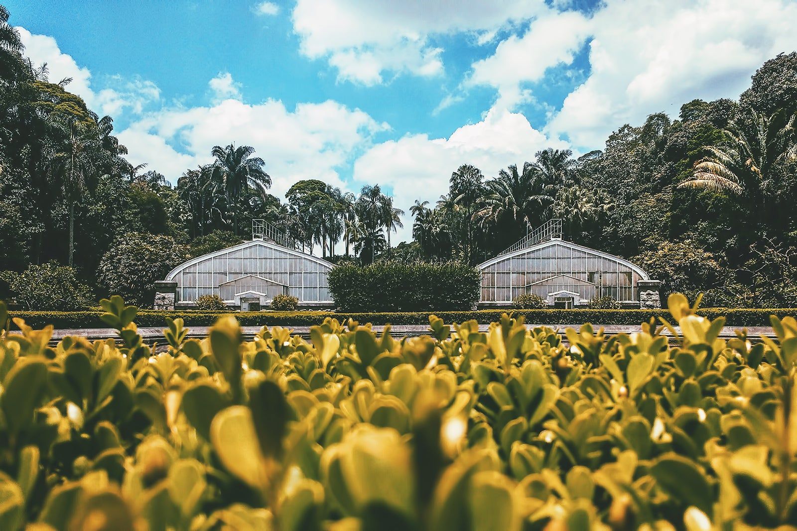 Jardim Botânico